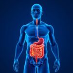 Virtual Courses - GMR Learning